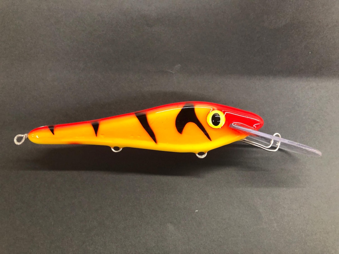 8" Hog - Orange Tiger - Etsy