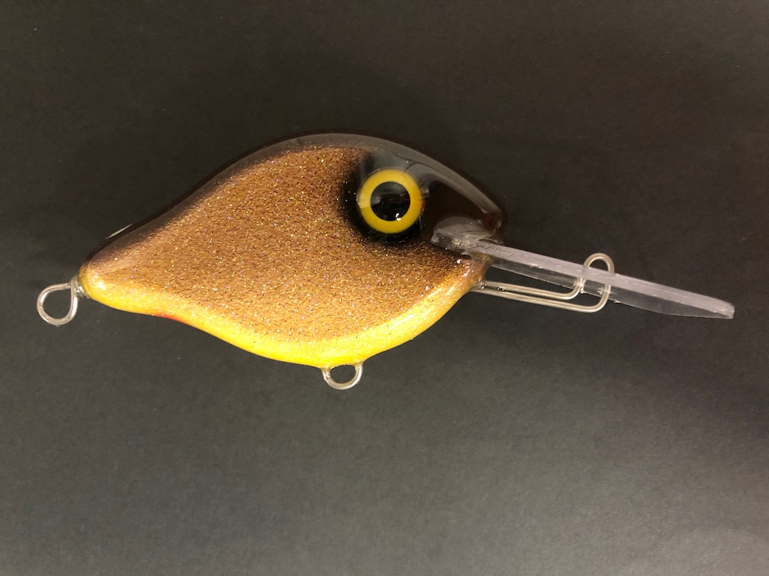 Pumpkin Seed - Yellow Belly Carp - Etsy