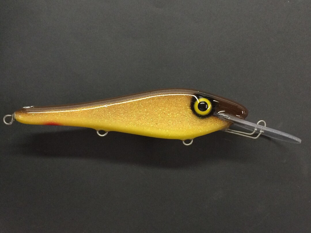 8" Hog - Yellow Belly Carp - Etsy