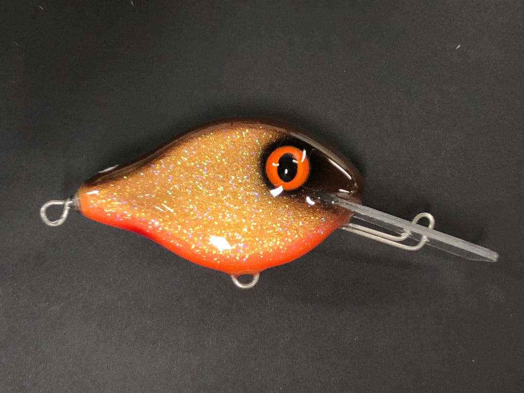 Pumpkin Seed - Orange Belly Carp - Etsy