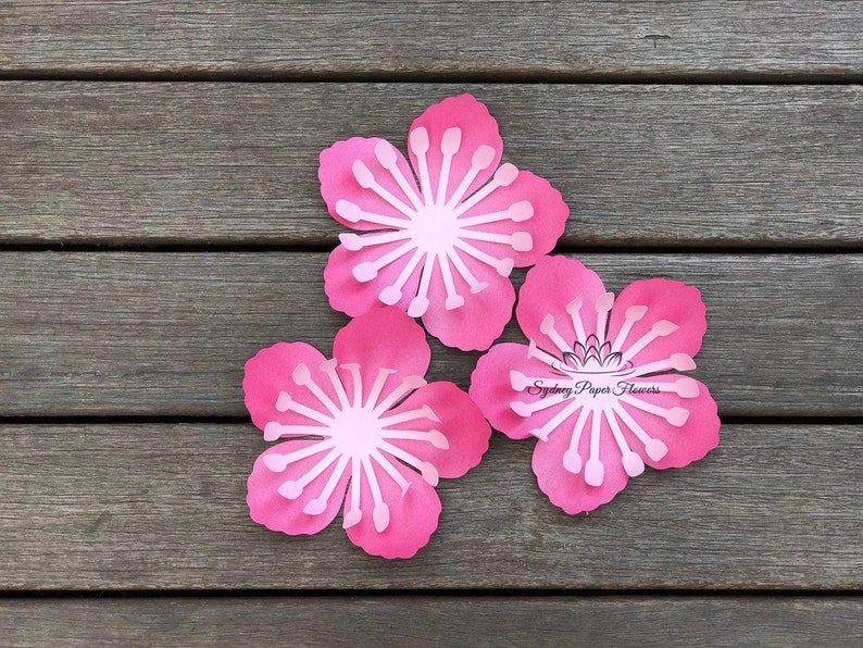 Cherry Blossom Paper Flower Template Cherry Blossom Paper Flower Template