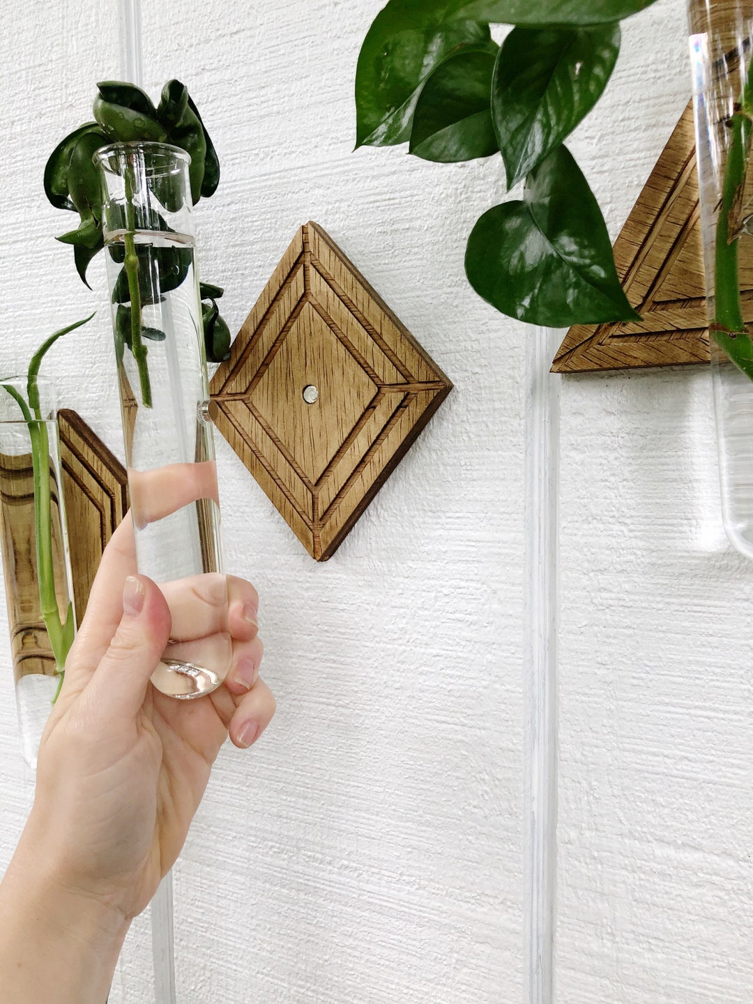 Propagation Wall Hanging - Hydro Planter - Wall Planter - Geometric ...