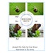 Animal Who Wake up in the Spring- 3 Part Cards Montessori, Flashcards ...