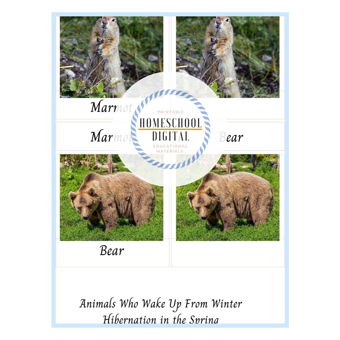 Animal Who Wake up in the Spring- 3 Part Cards Montessori, Flashcards ...