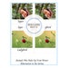 Animal Who Wake up in the Spring- 3 Part Cards Montessori, Flashcards ...