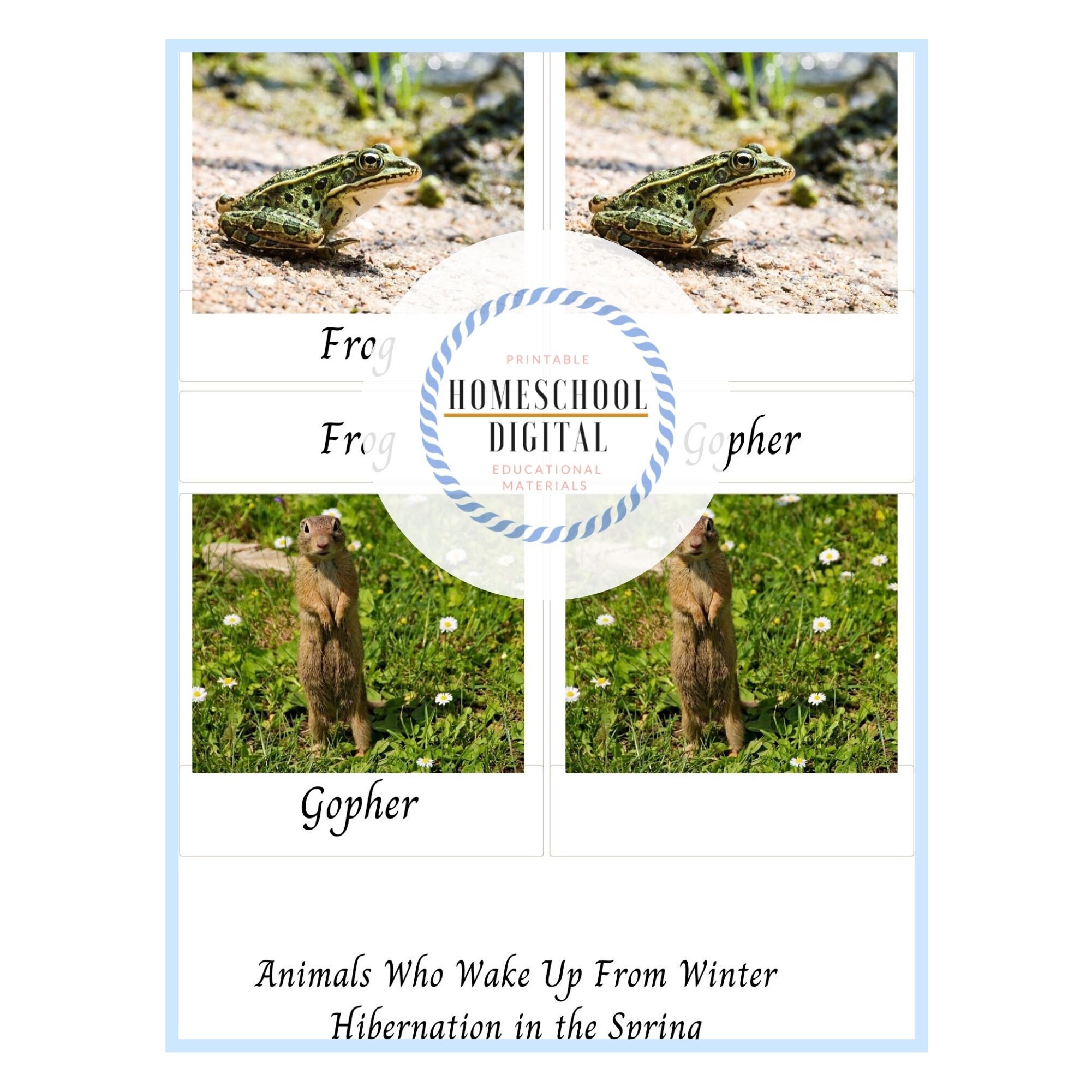 Animal Who Wake up in the Spring- 3 Part Cards Montessori, Flashcards ...