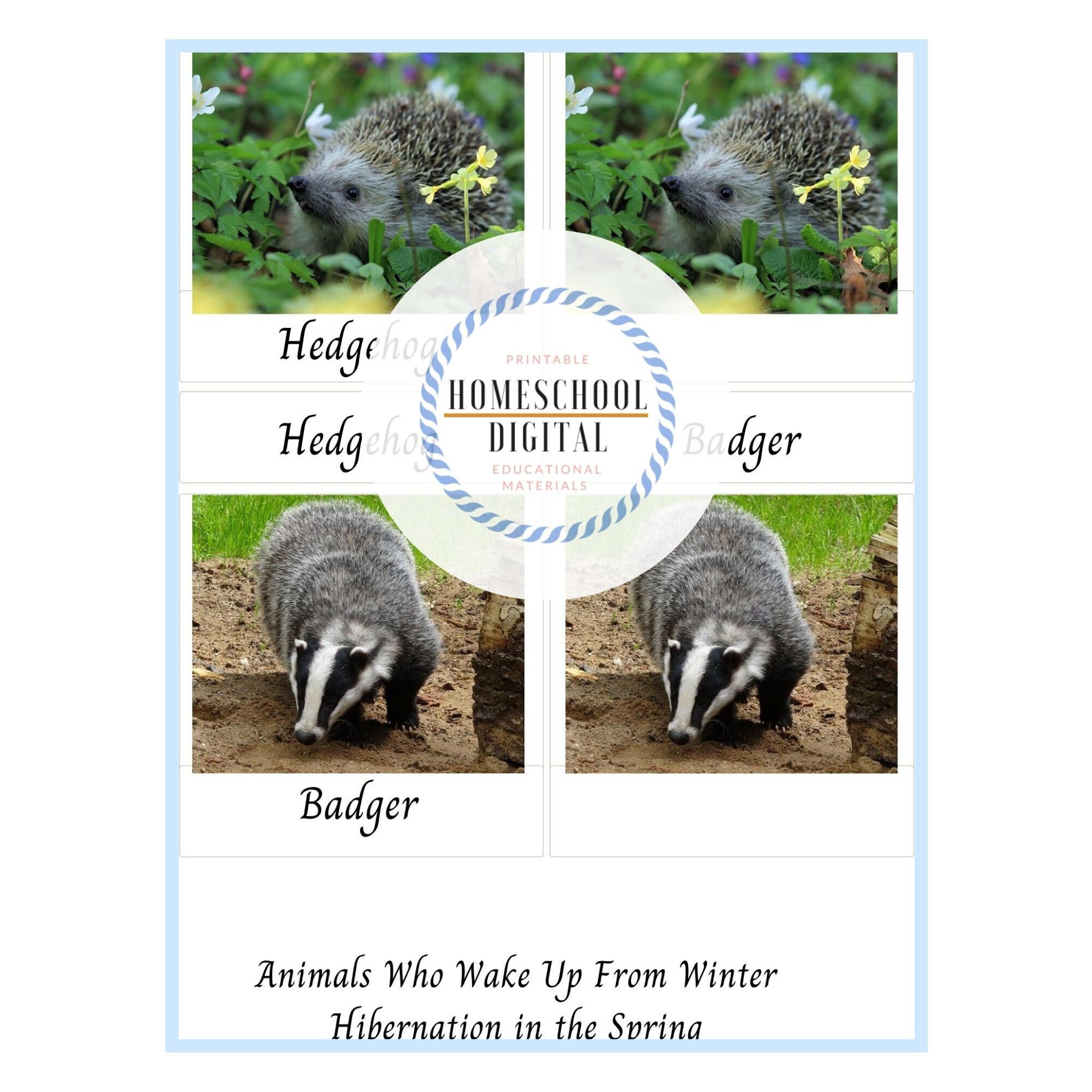 Animal Who Wake up in the Spring- 3 Part Cards Montessori, Flashcards ...