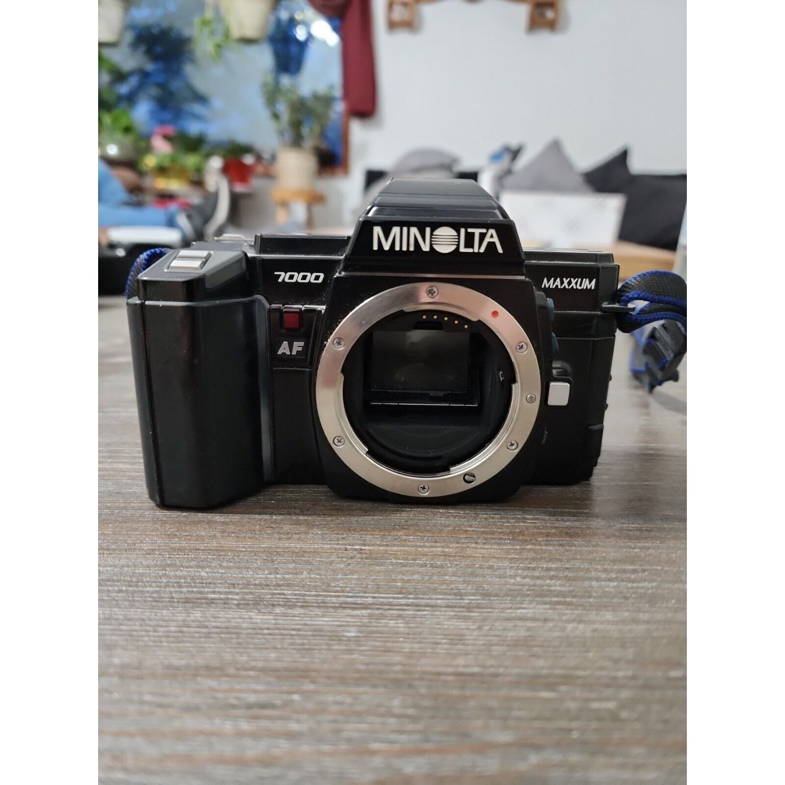 Minolta Maxxum 7000 Review