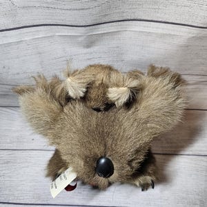 Vtg Koala With Baby Display Harris Quality Product, Sydney, Australia ...