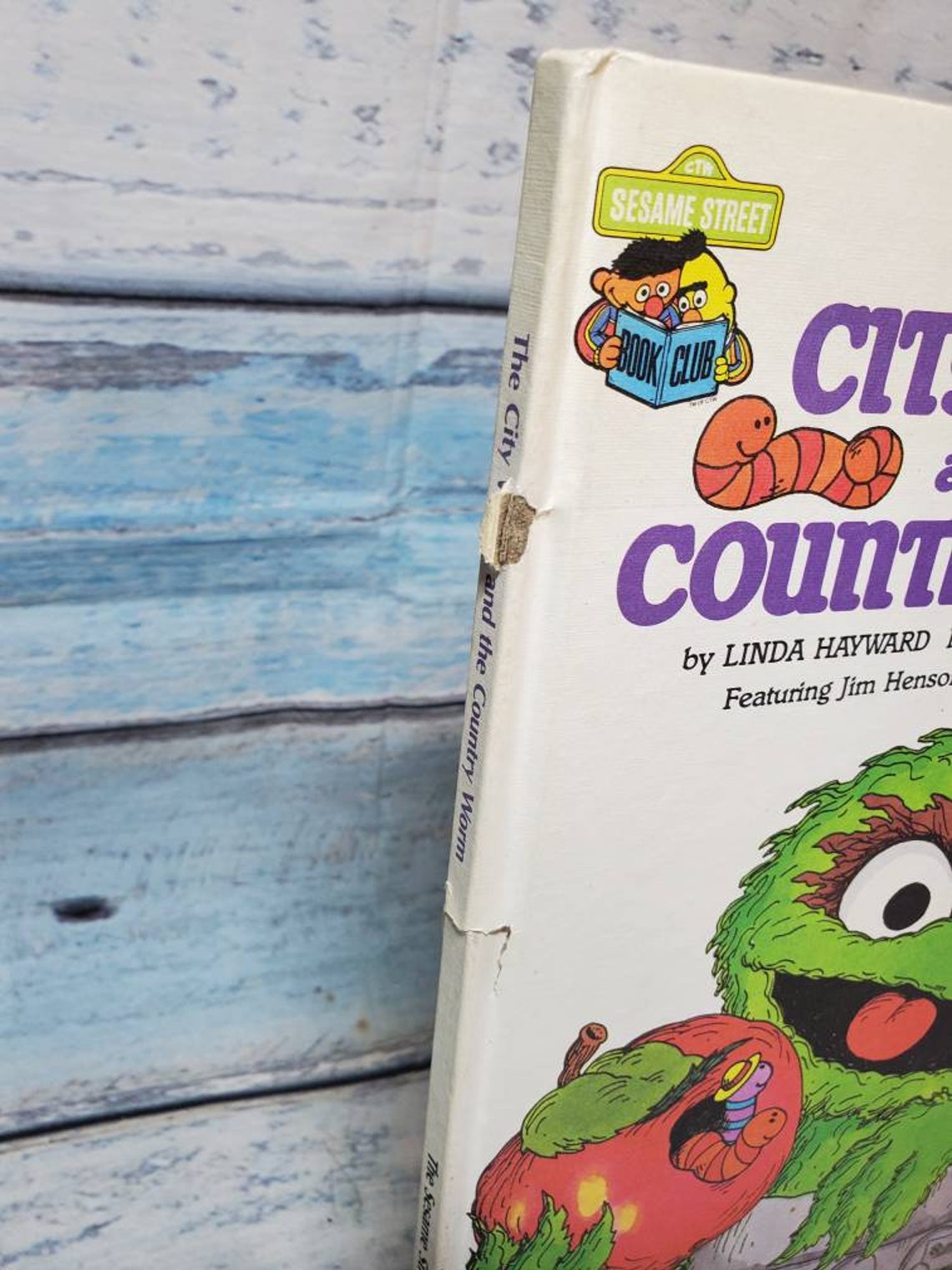 The City Worm And The Country Worm 1983 Sesame Street And Etsy