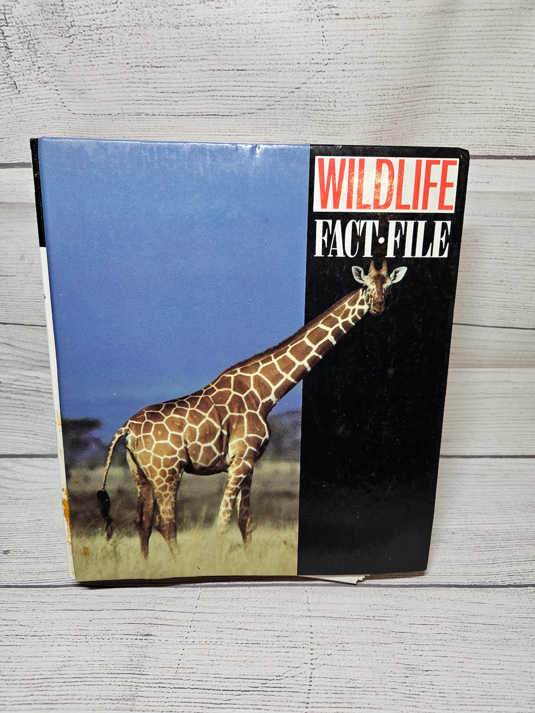 Wildlife Fact-file Binder of Animal Cards 1995 homeschool, Virtual ...