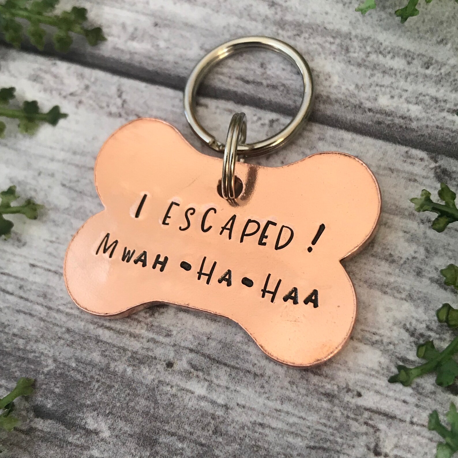Dog ID Tag I Escaped Dog Tag Bone Dog Tag Funny Pet Tag | Etsy Canada