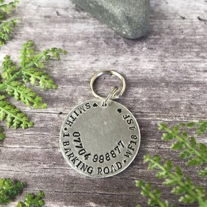 Dog Tag | Bunny Chaser Dog Tag | Funny Pet Tag | Dog ID Tag | Bunny ...