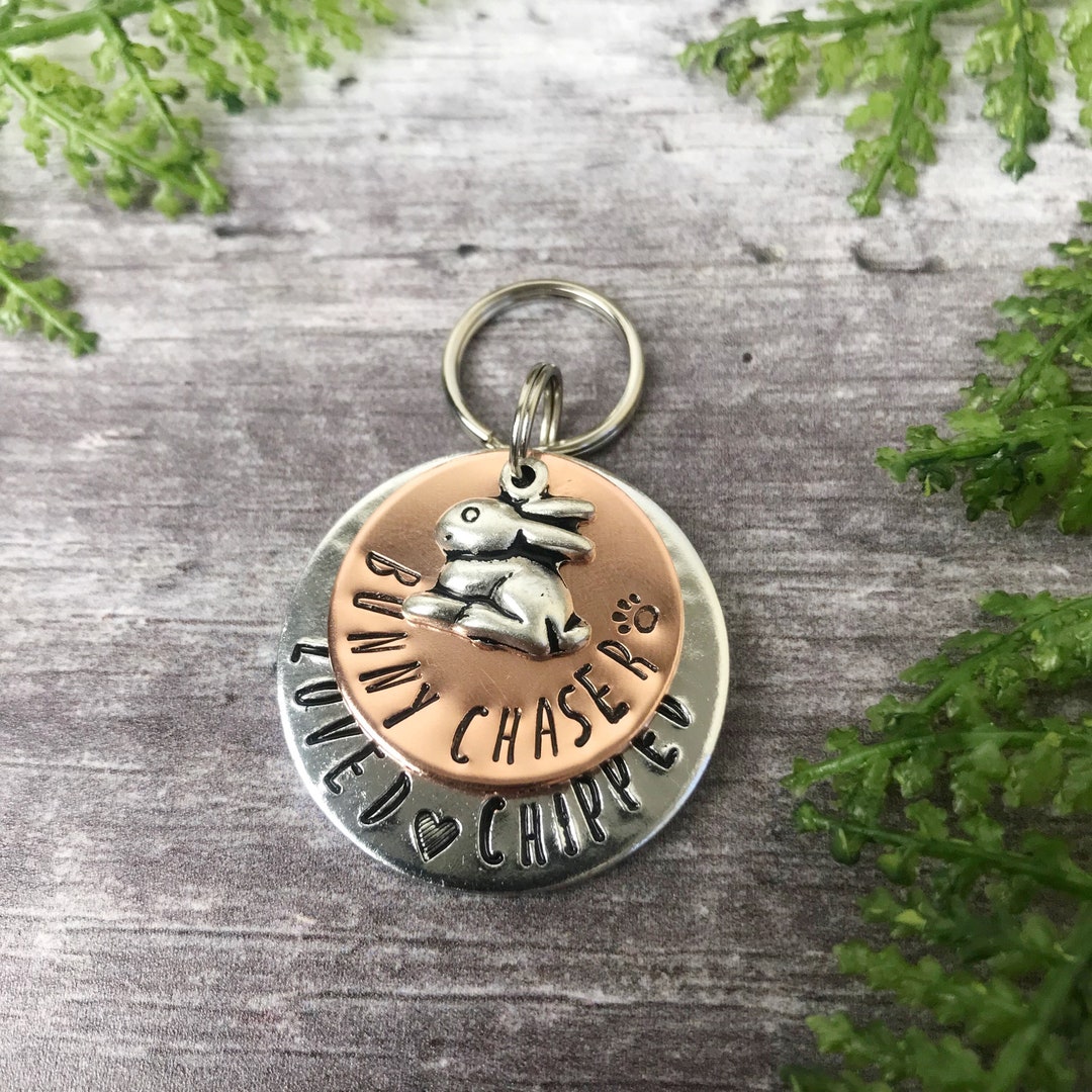 Dog Tag | Bunny Chaser Dog Tag | Funny Pet Tag | Dog ID Tag | Bunny ...