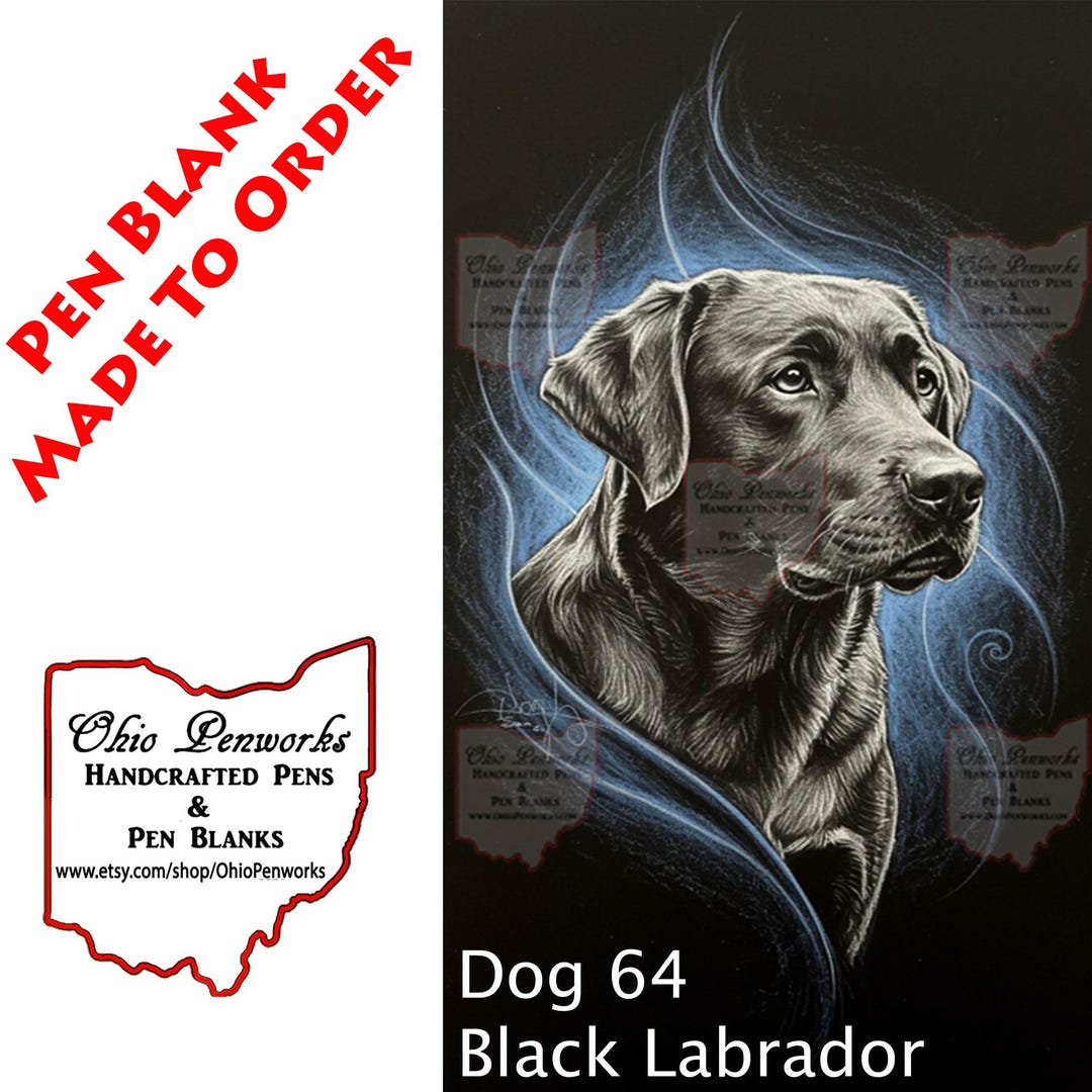Labrador Retriever Charcoal Drawing on Black Canvas Alumilite Acrylic ...