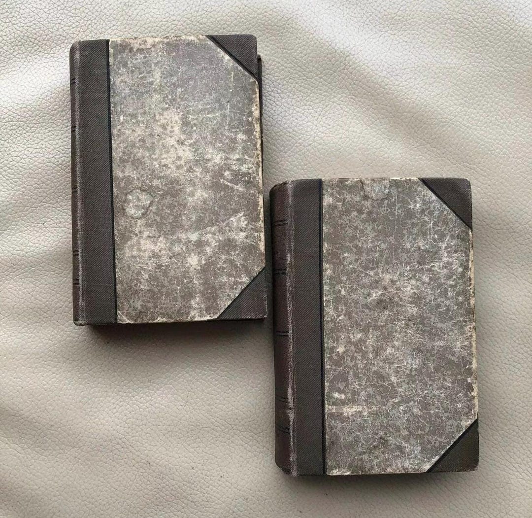Antique Poetry Book Pair: Thomas Hood Poems, 1887 Victorian Gift - Etsy