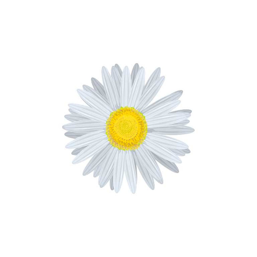 Daisy Flower Stickers/daisy Flower Decals/decals for Women/laptop ...
