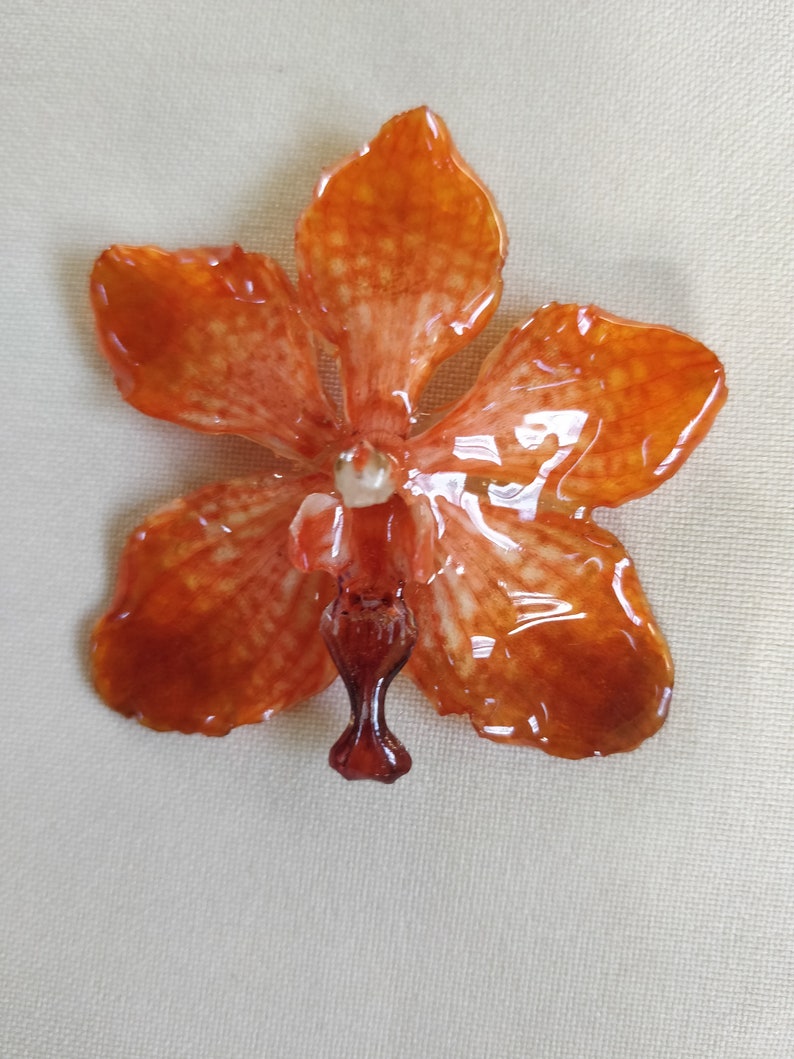 Resin Preserved Orchid Necklaces With Sterling Silver Chain or Pendants ...