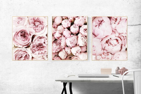 Pink Peony Wall Art Set of 3 Printable Peony Wall Art | Etsy