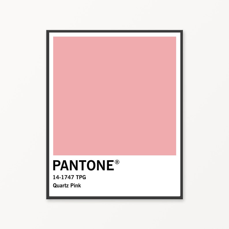 Pantone poster Pantone poster Pantone blush pink colors | Etsy