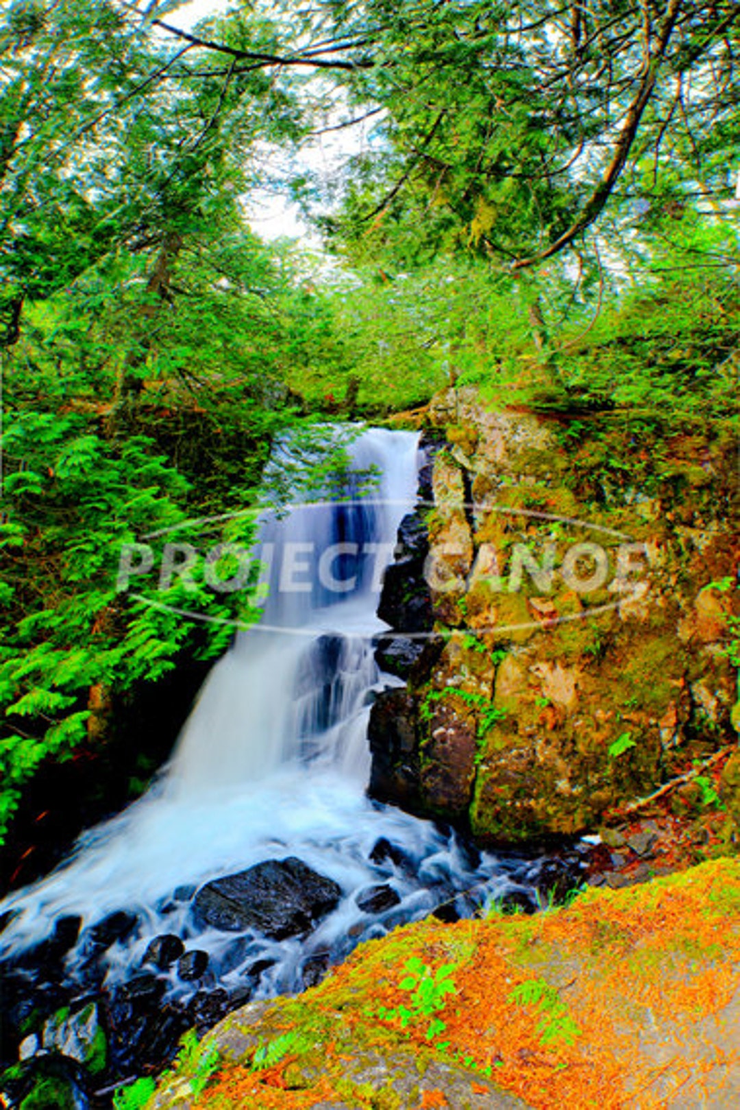 Waterfall Verticle BWCA Photo - Etsy