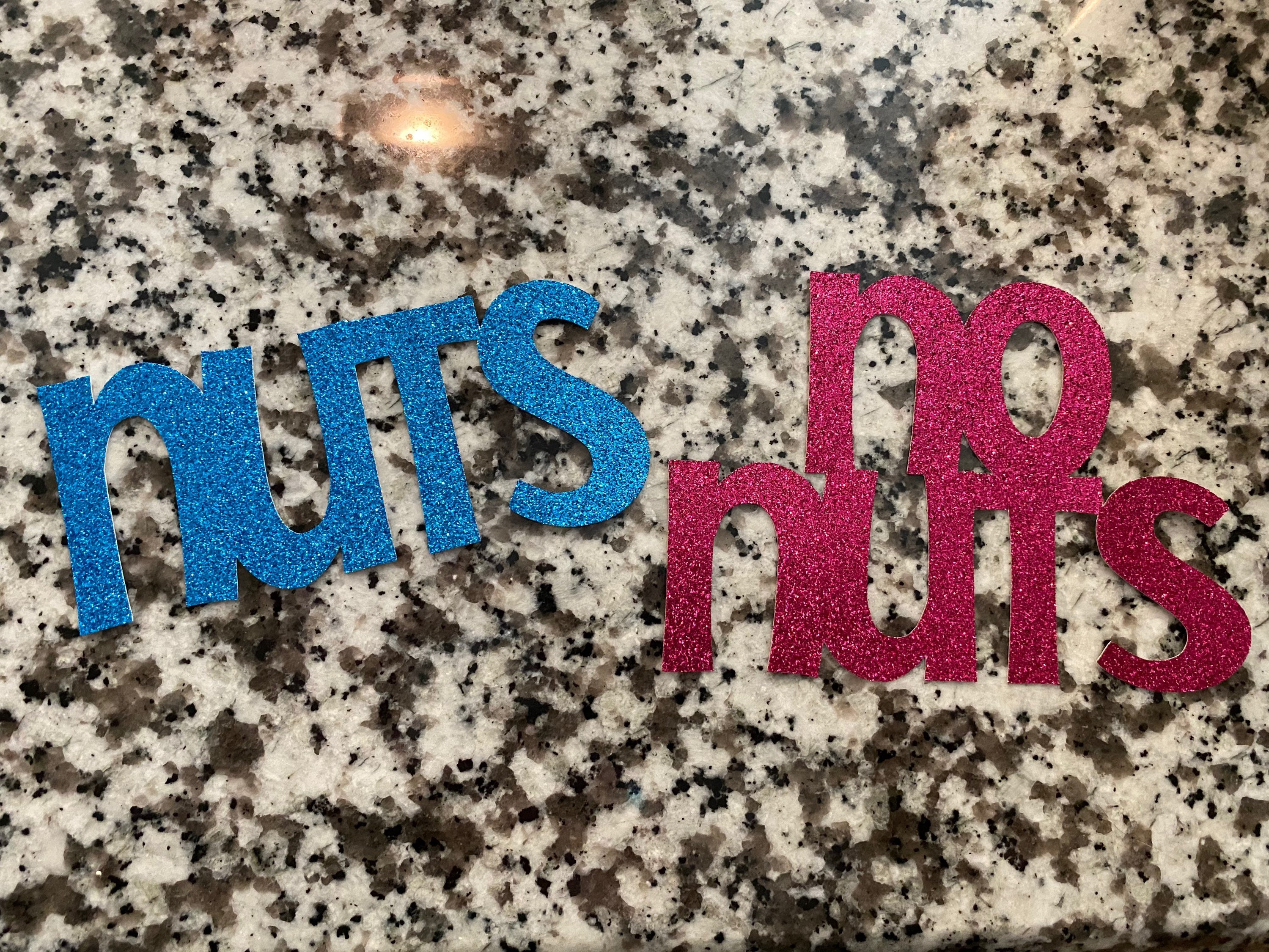 Gender reveal Nuts and no nuts signs. | Etsy