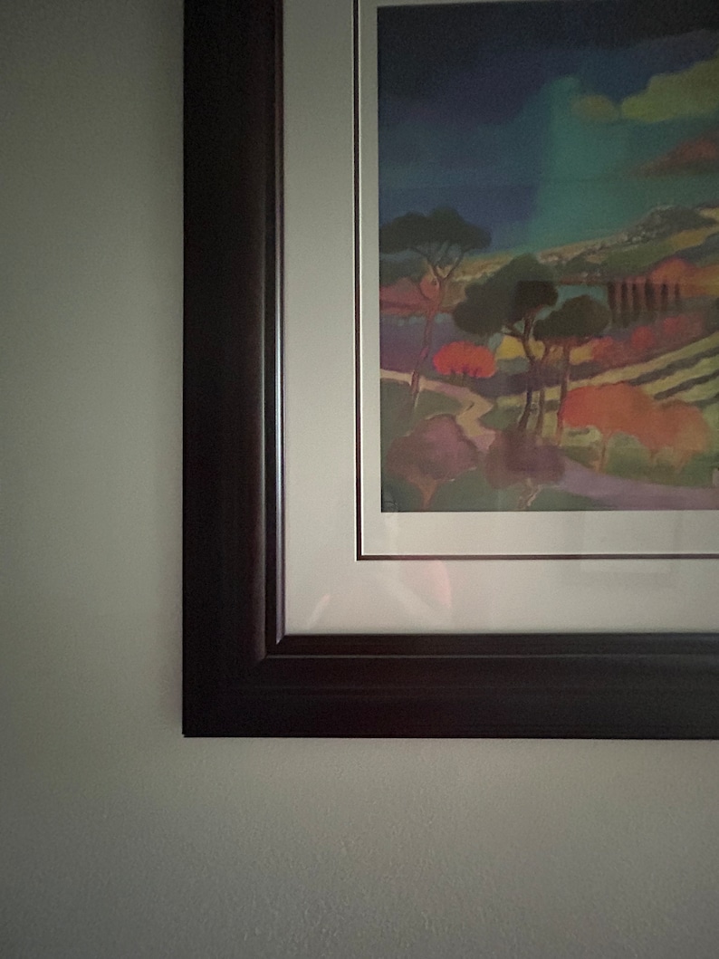 Jean-claude Picot Seriolithograph, Baie De Cannes Framed Print - Etsy