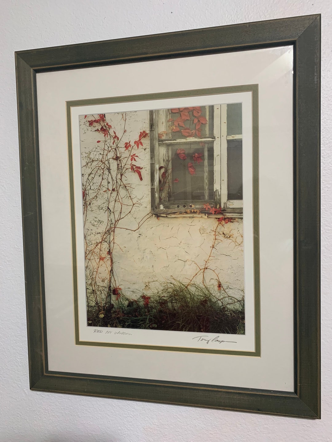 Tony Casper red Ivy Window Signed Matted & Framed - Etsy