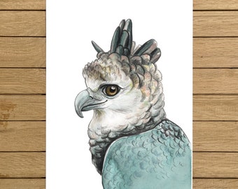 Harpy eagle | Etsy