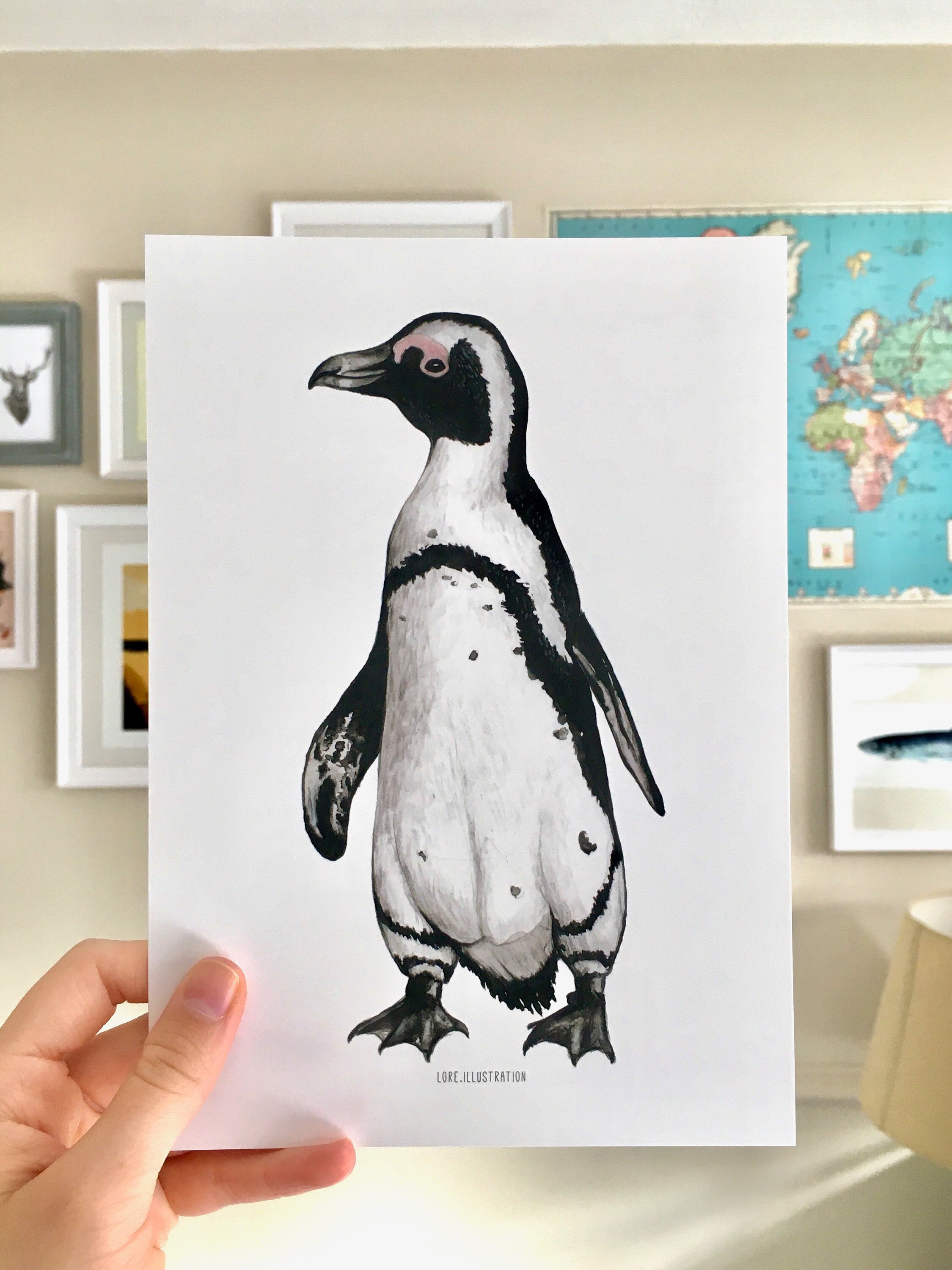 African Penguin Print Penguin Wall Art Penguin Print Wall | Etsy
