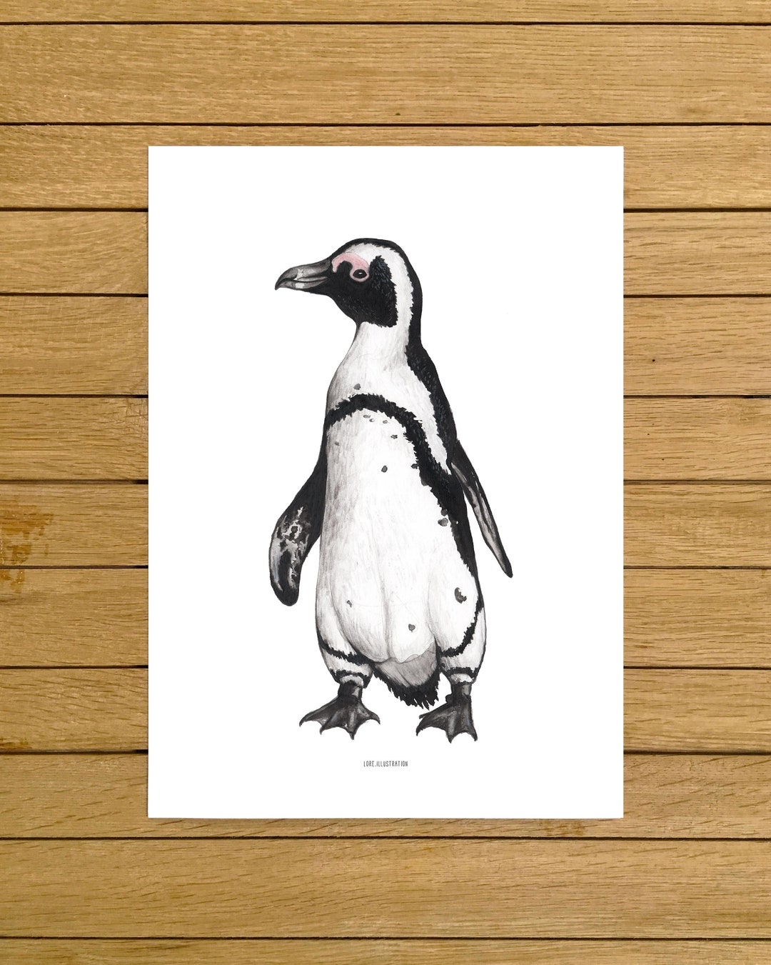 African Penguin Print, Penguin Wall Art, Penguin Print, Wall Art Decor ...