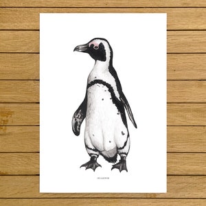 African Penguin Print Penguin Wall Art Penguin Print Wall | Etsy