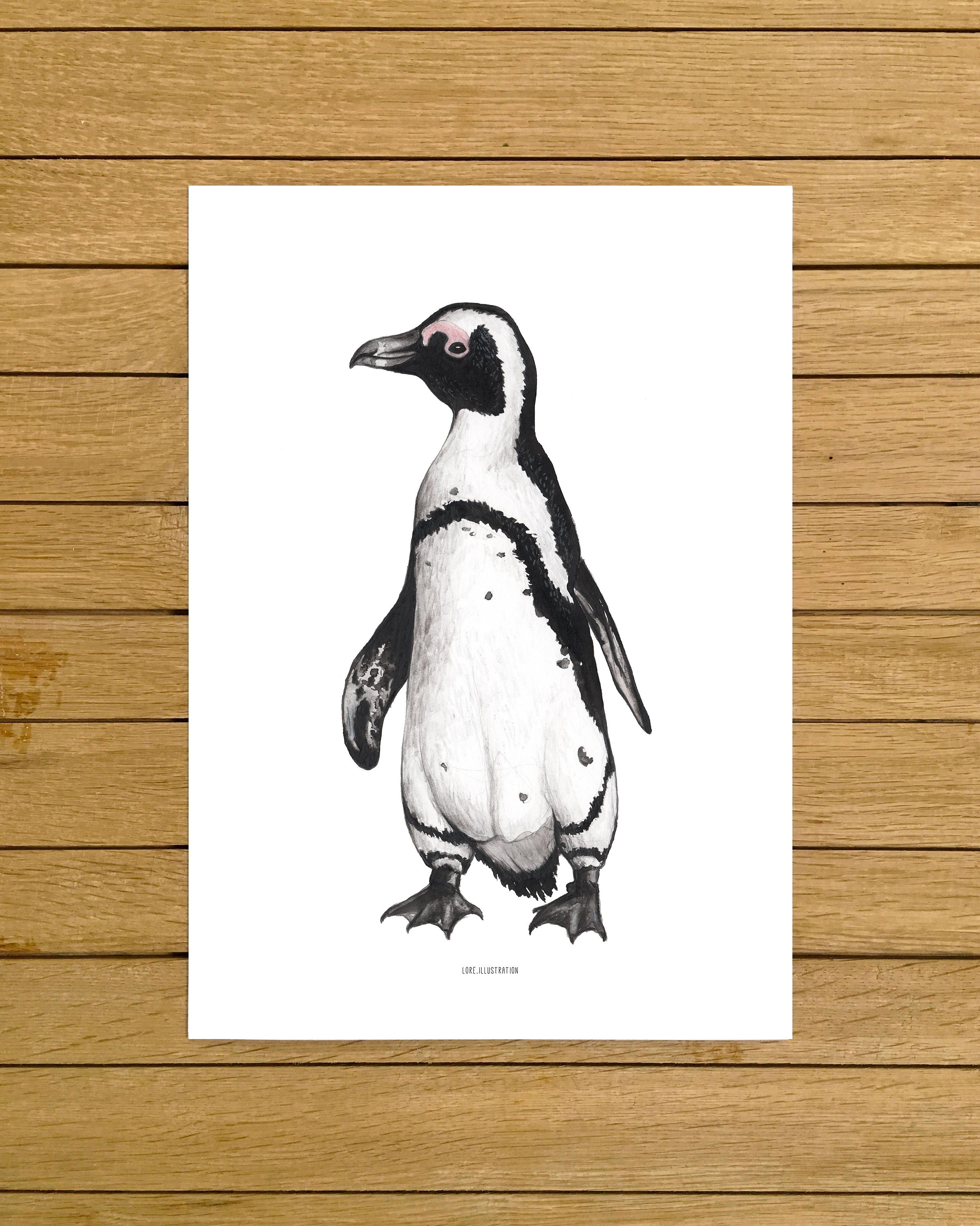 African Penguin Print Penguin Wall Art Penguin Print Wall - Etsy