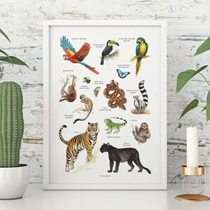 Rainforest Poster, Rainforest Animals, Watercolor Art, Nursery Decor ...