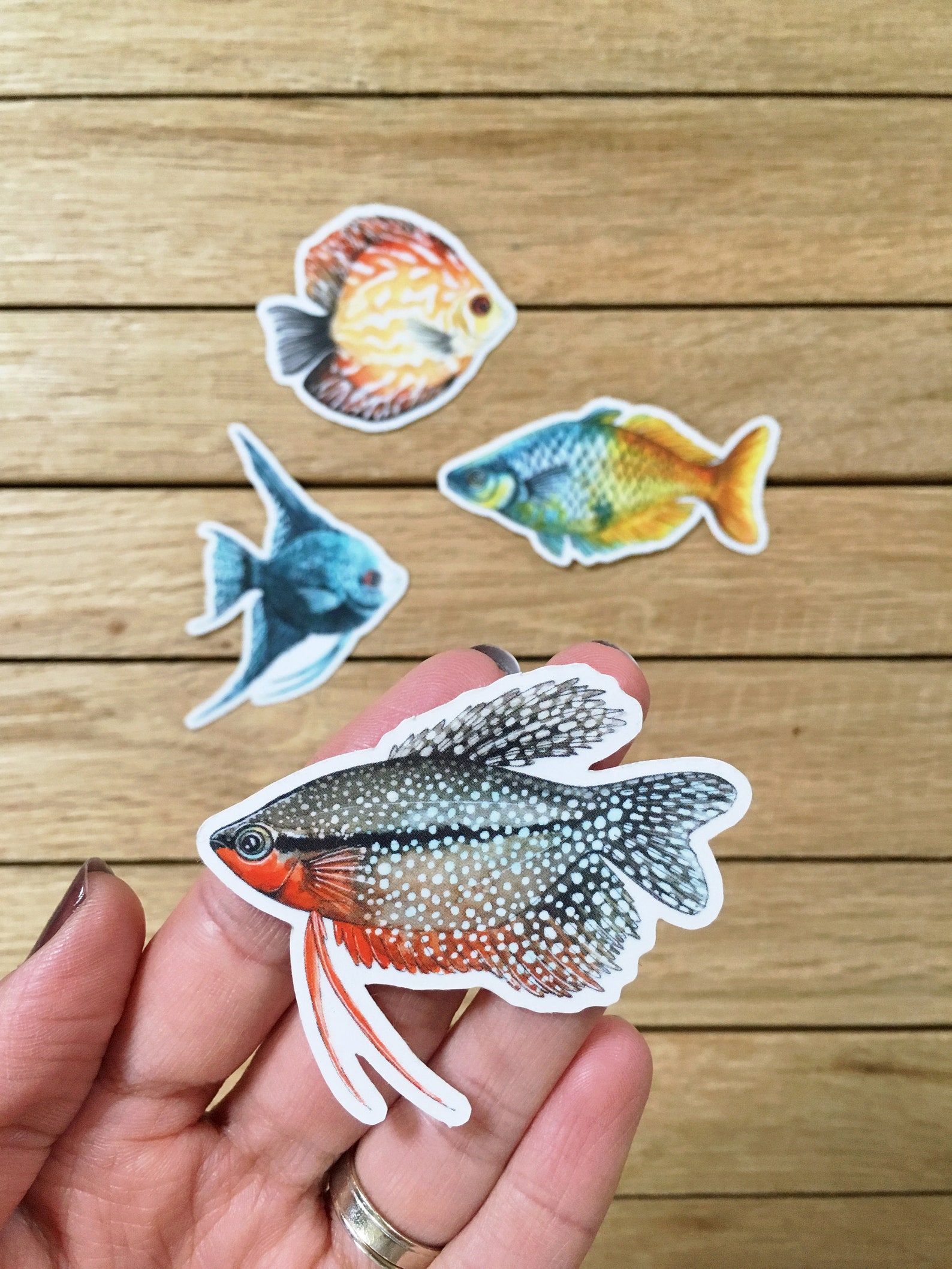 Tropical Fish Stickers Fish Vinyl Stickers Transparent - Etsy UK