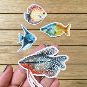 Tropical Fish Stickers, Fish, Vinyl Stickers, Transparent Stickers ...