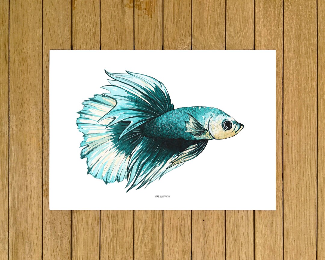 Turquoise Betta Fish Print, Tropical Fish, Giclée Print, Watercolor ...