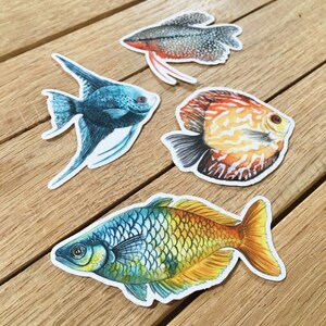Tropical Fish Stickers, Fish, Vinyl Stickers, Transparent Stickers ...