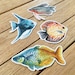 Tropical Fish Stickers, Fish, Vinyl Stickers, Transparent Stickers ...