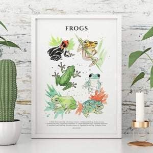 Frogs Poster, Watercolour Illustration, Frogs Species, Nursery Decor ...
