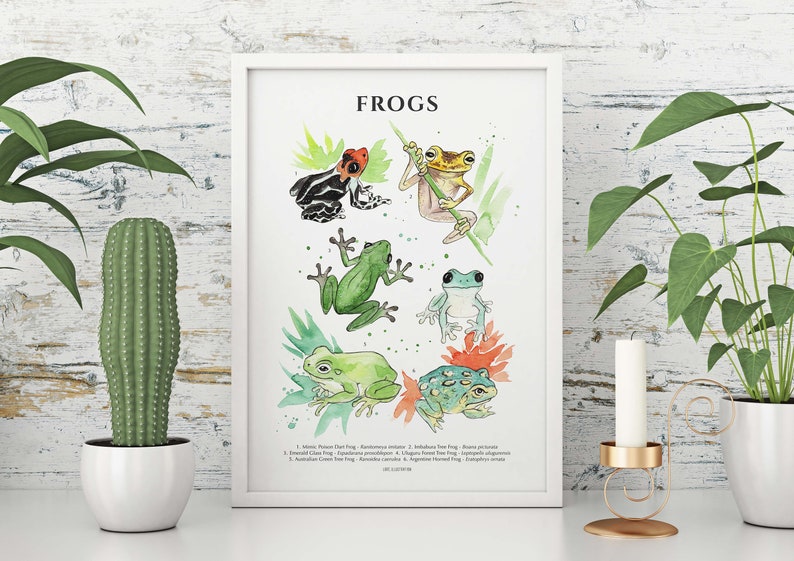 Frogs Poster Watercolour Illustration Frogs Species Nursery - Etsy UK