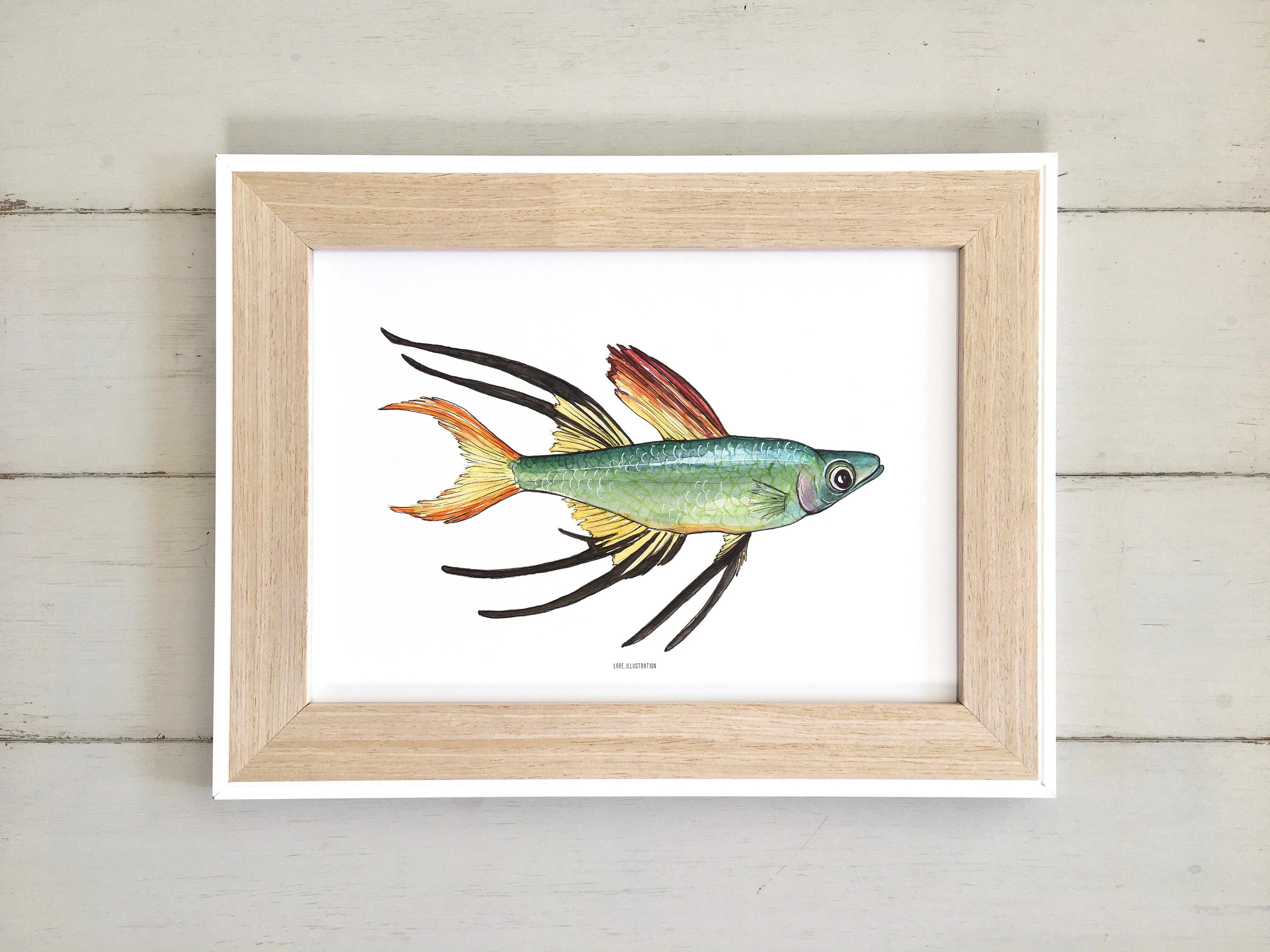 Threadfin Rainbow Tropical Fish Print Giclée Print - Etsy