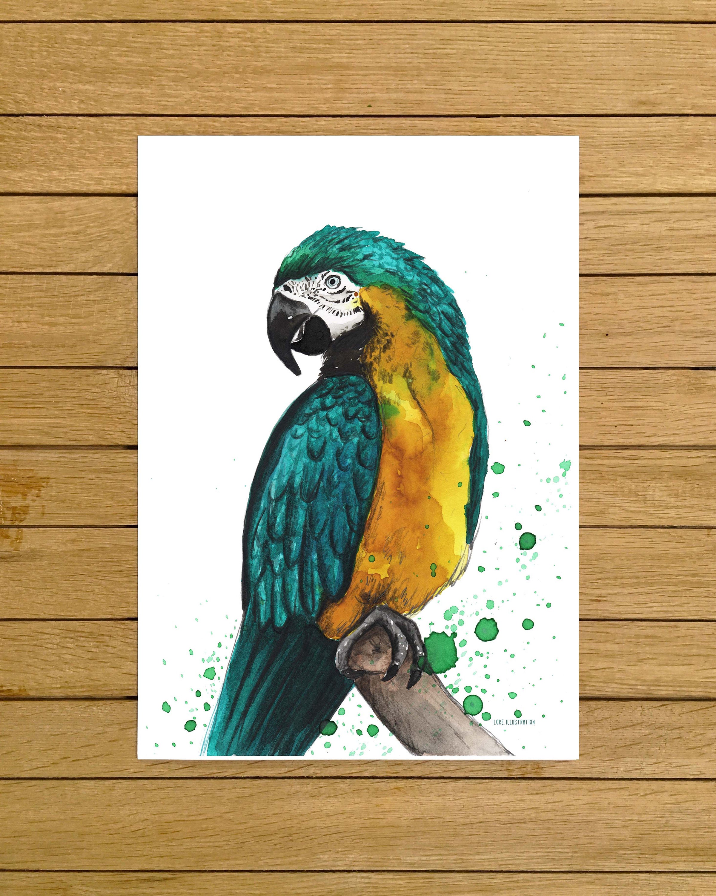 Macaw Print Tropical Bird Birds Art Giclée Print | Etsy