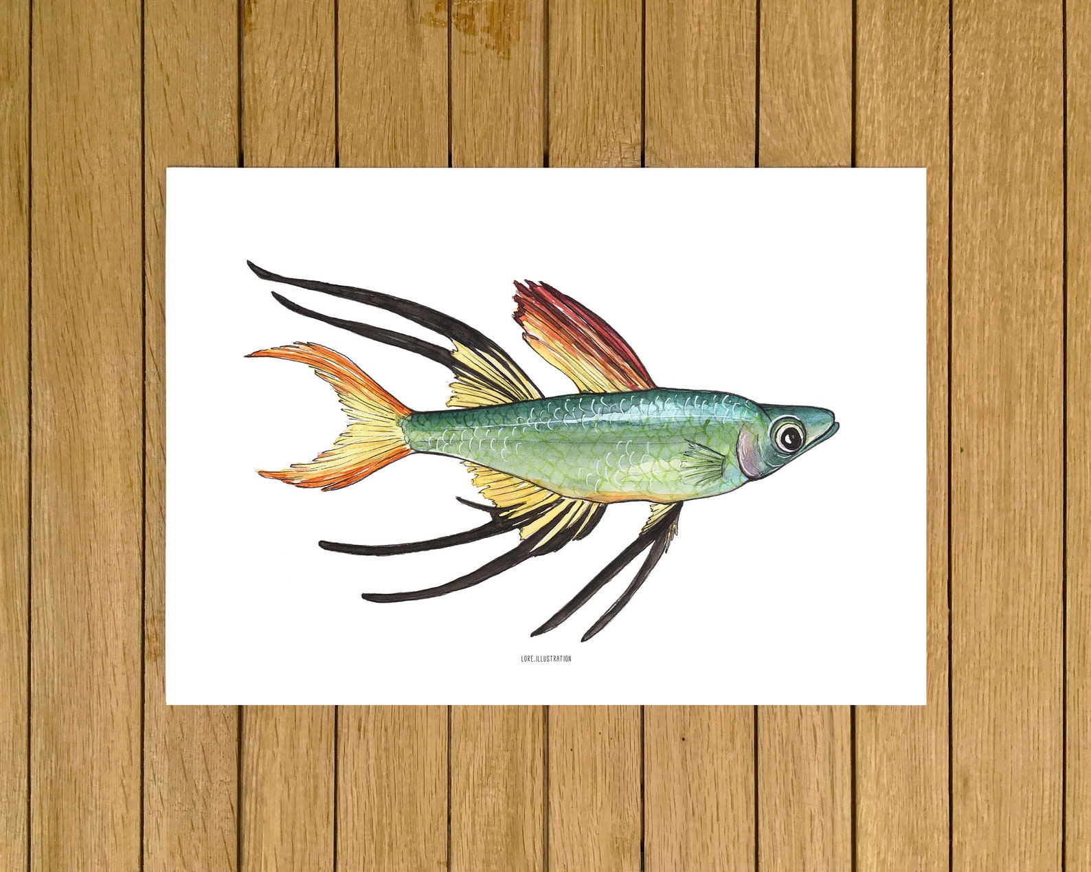 Threadfin Rainbow Tropical Fish Print Giclée Print - Etsy