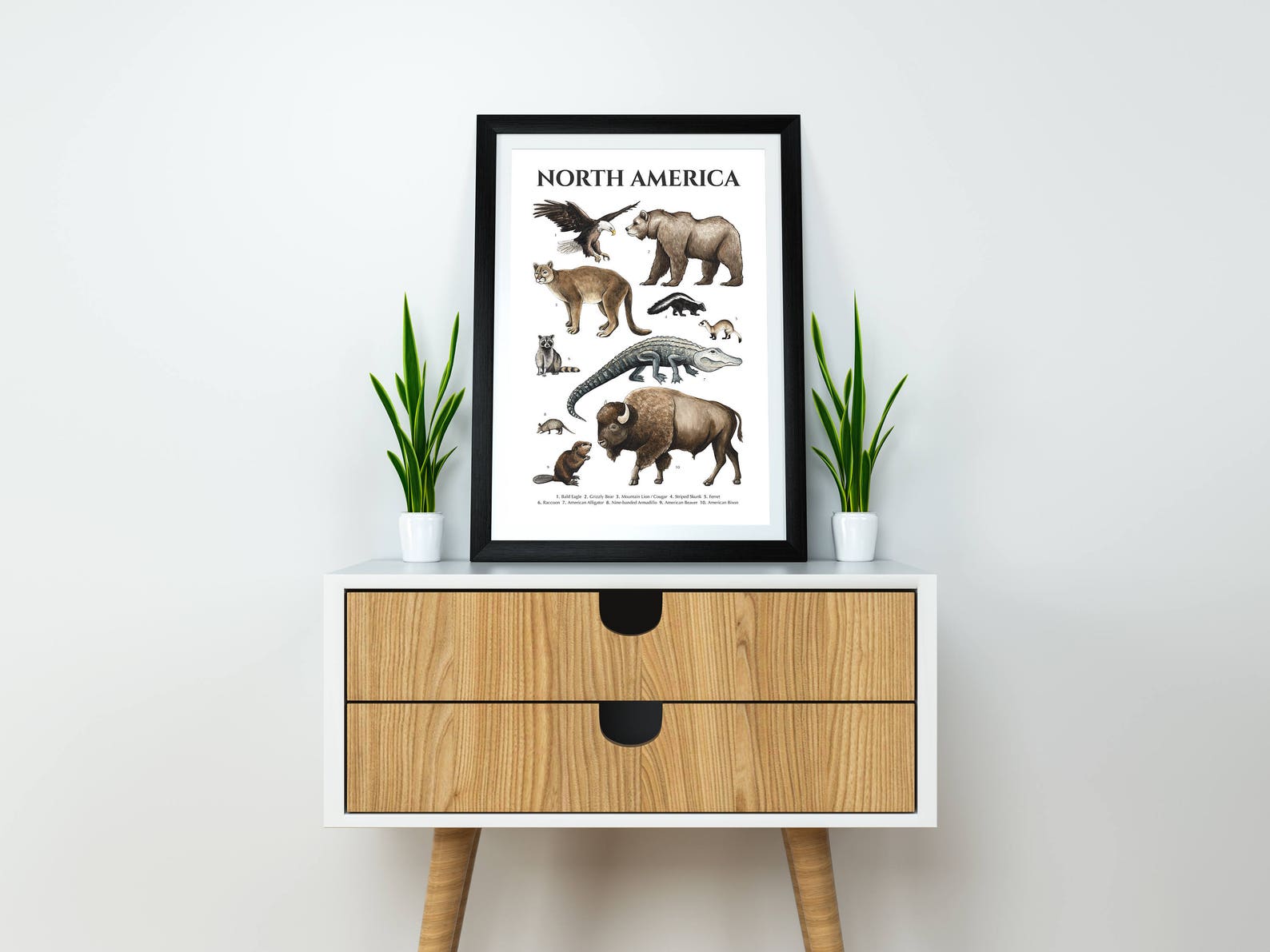 North America Animals Animals Poster Nursery Decor Home | Etsy