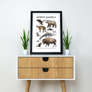 North America Animals, Animals Poster, Nursery Decor, Home Decor ...