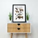 North America Animals, Animals Poster, Nursery Decor, Home Decor ...