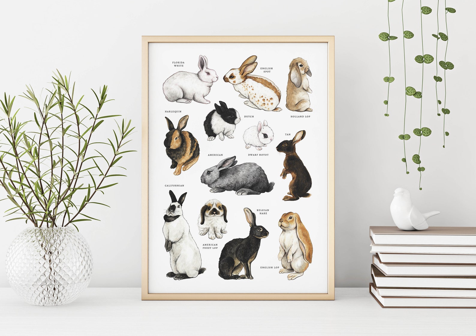Bunnies Poster Rabbits Species Collection Bunny Lovers | Etsy