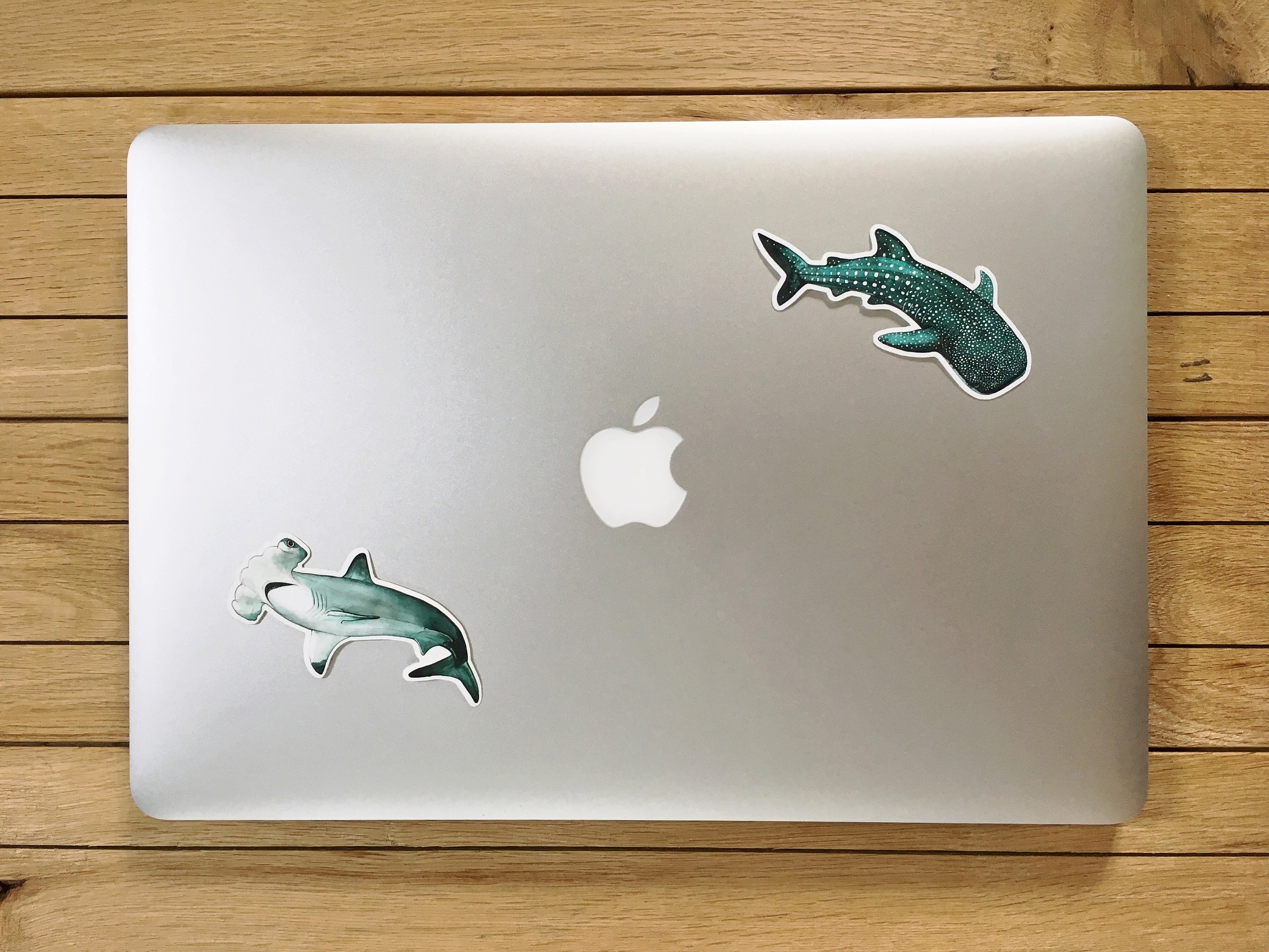Hai Sticker Vinyl Sticker Haie Ocean Life plastikfreie - Etsy.de