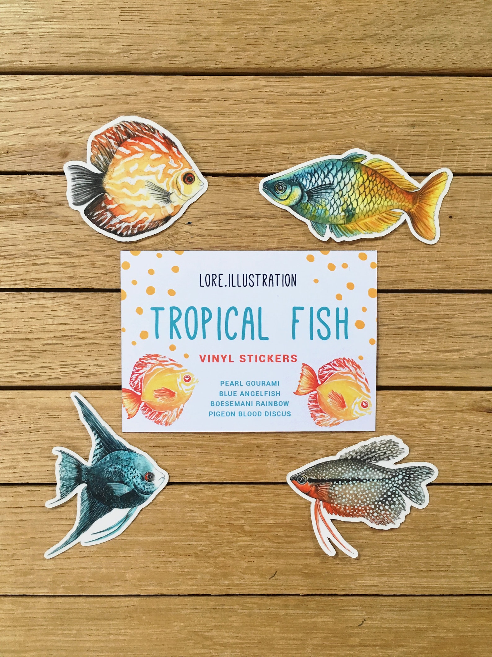 Tropical Fish Stickers Fish Vinyl Stickers Transparent - Etsy UK
